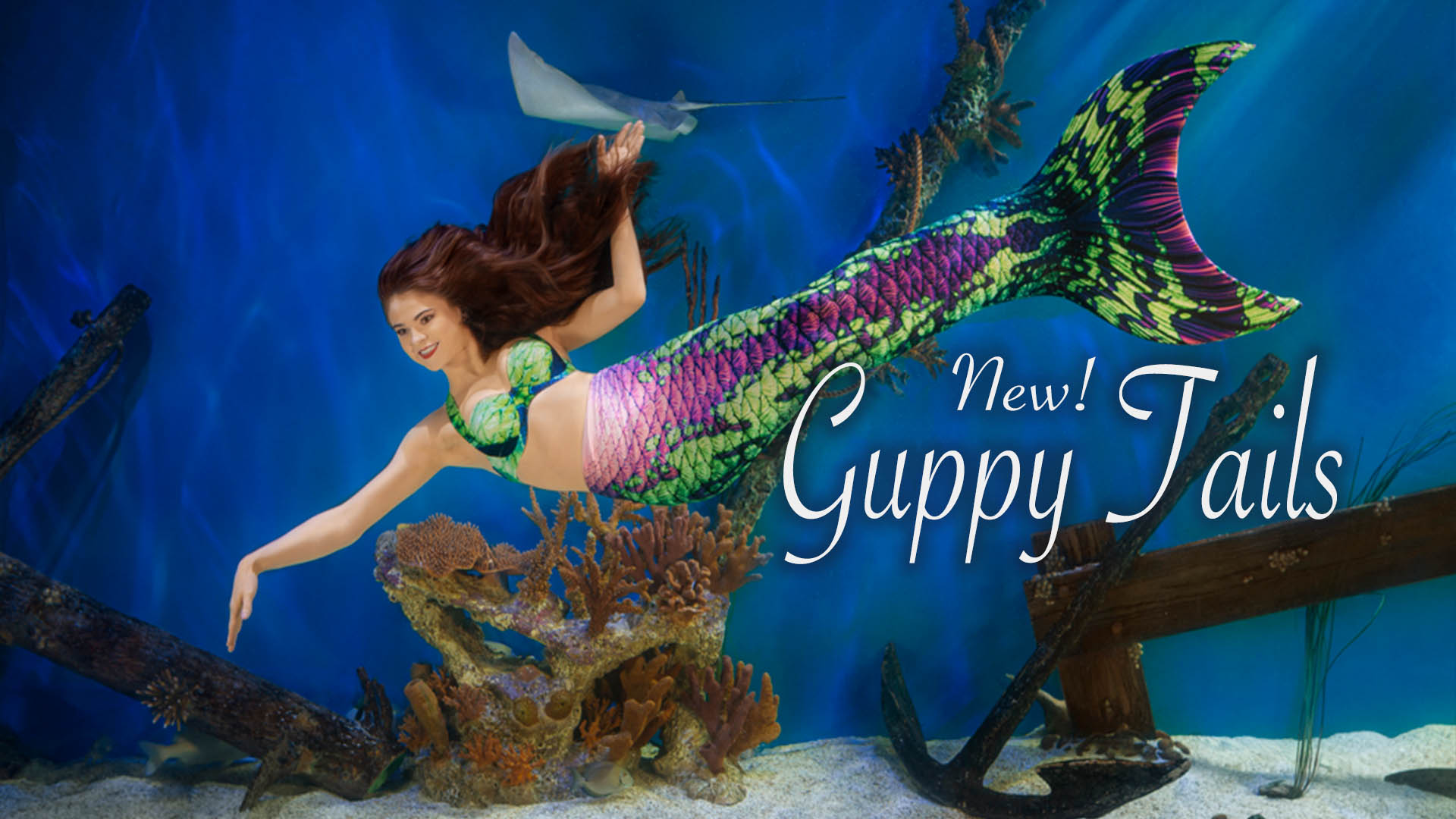 Shop Mermaid Tails by Mertailor: Be Inspired to Live Your Fantasea with ...