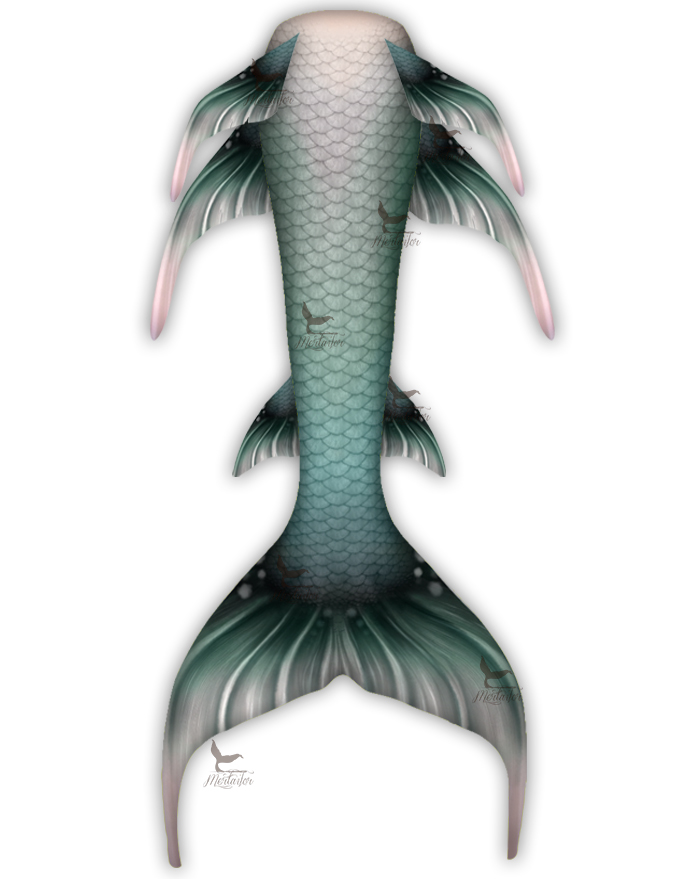 Whimsy Tail Skins for Original Fantasea Fin | Mertailor